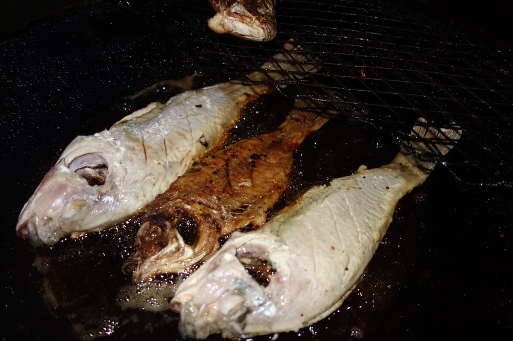 bahir-dar-tilapia-fish-3 – New Faces, New Places